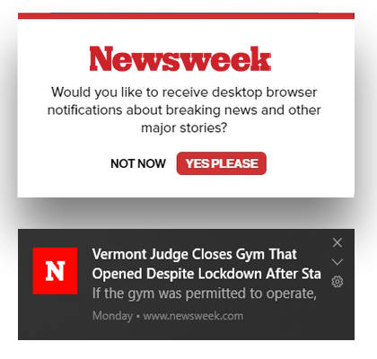 Newsweek Case Study - Pushnami