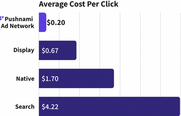 Anonymous Advertiser Case Study - Pushnami